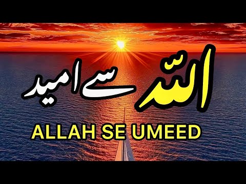 ALLAH SE UMEED || SPIRITUAL QUOTES COLLECTION ...