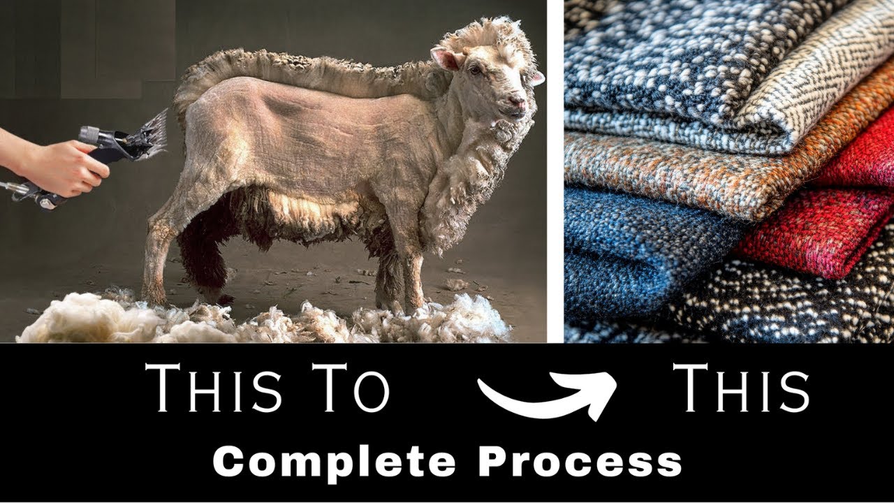 How Sheep Wool Turned Into Fabric | Step By Step Complete Process - YouTube