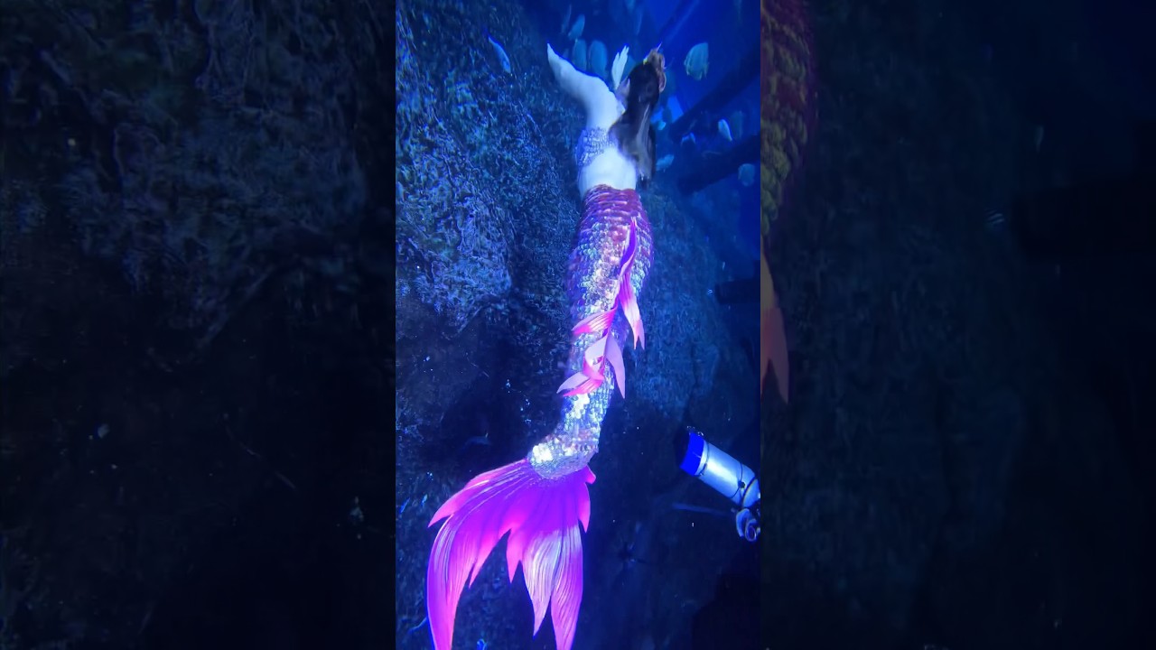 Mermaid life! 🧜🏻‍♀️ #art #artist #coldplay #dreams #mermaid #underwater ...