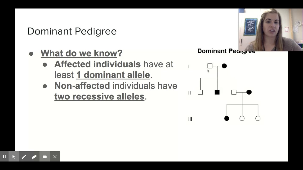 Pedigree Presentation - Google Slides - YouTube