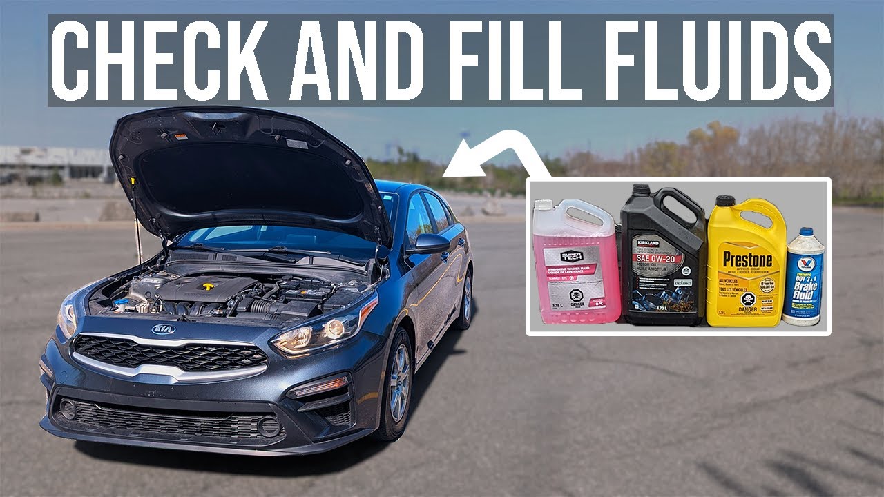 How to Check and Fill Fluids [COMPLETE GUIDE] - Kia Forte (2019-2024 ...