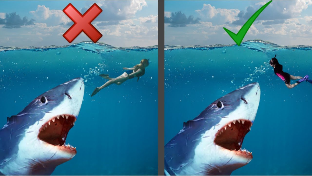 Tips on How to Survive Wild Animal Attacks - YouTube