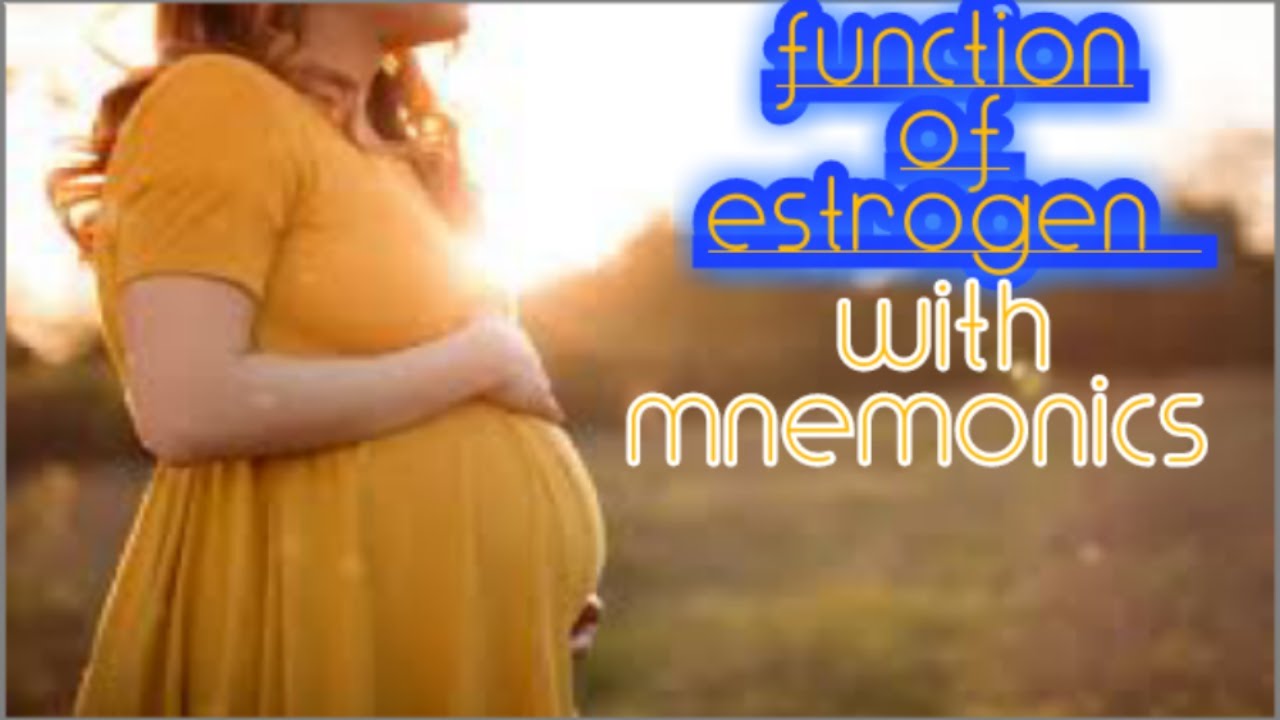 Action of Estrogen. Physiology. With mnemonics - YouTube