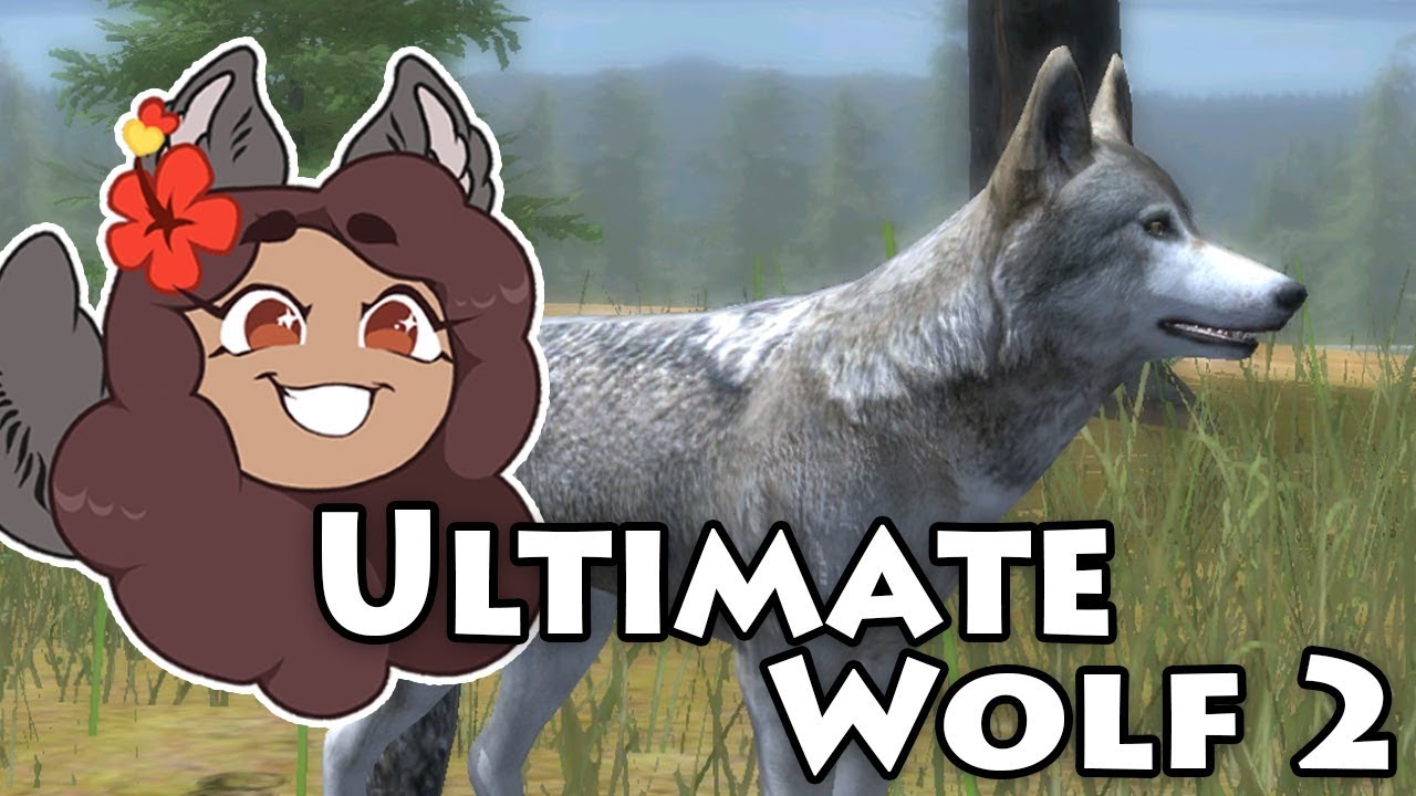 Rise of a New Wolf Pack?! 🐺 Ultimate Wolf 2 - YouTube
