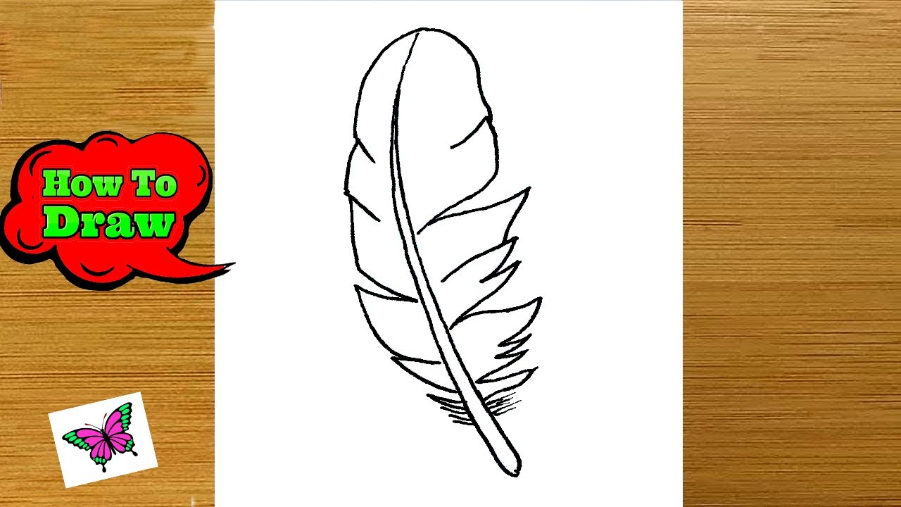 How To Draw Feathers Step By Step