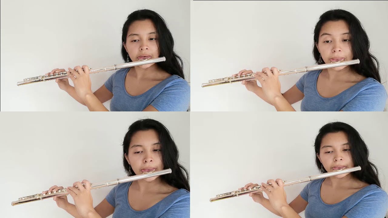 Good Vibrations by The Beach Boys | Flute Quartet - YouTube