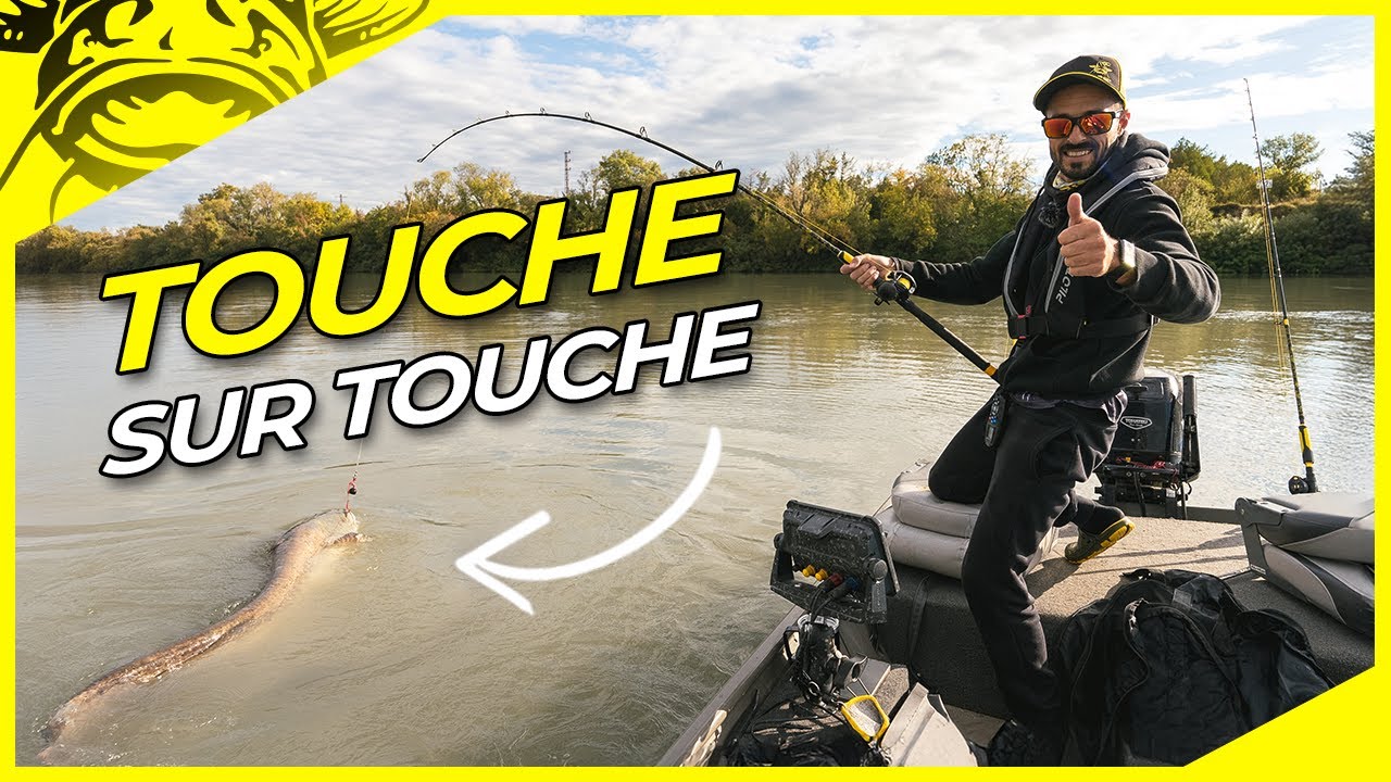 SILURE EN VERTICAL | La PÊCHE du SILURE à son MEILLEUR | Pêche du ...