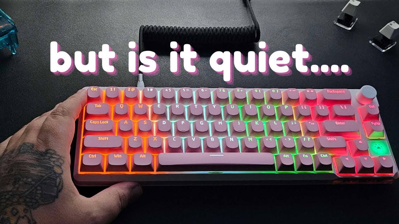 Can You Build a Silent Keyboard from TEMU? - YouTube