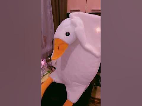 розовый гусь - YouTube