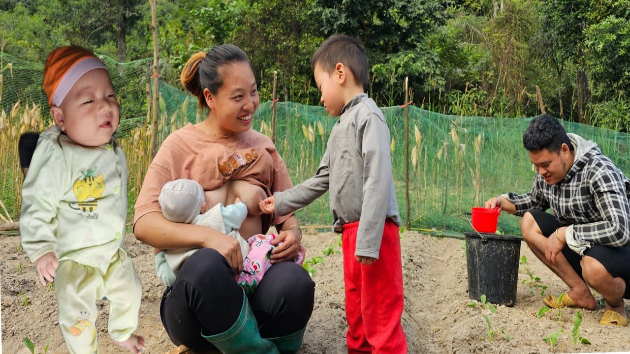 The couple cut down trees for gardening and tilled the land to grow ...