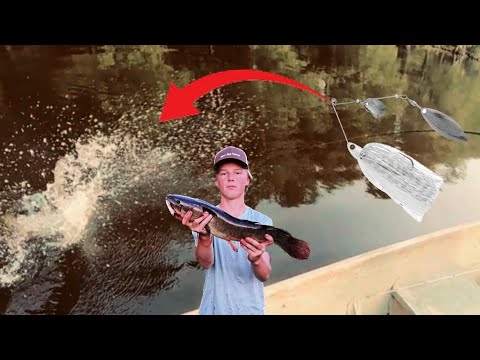 GIANT MUDFISH caught on a SPINNER BAIT! - YouTube