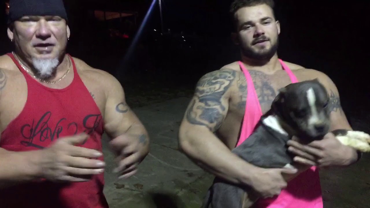 True Mini Bully 2x Mo Money - YouTube