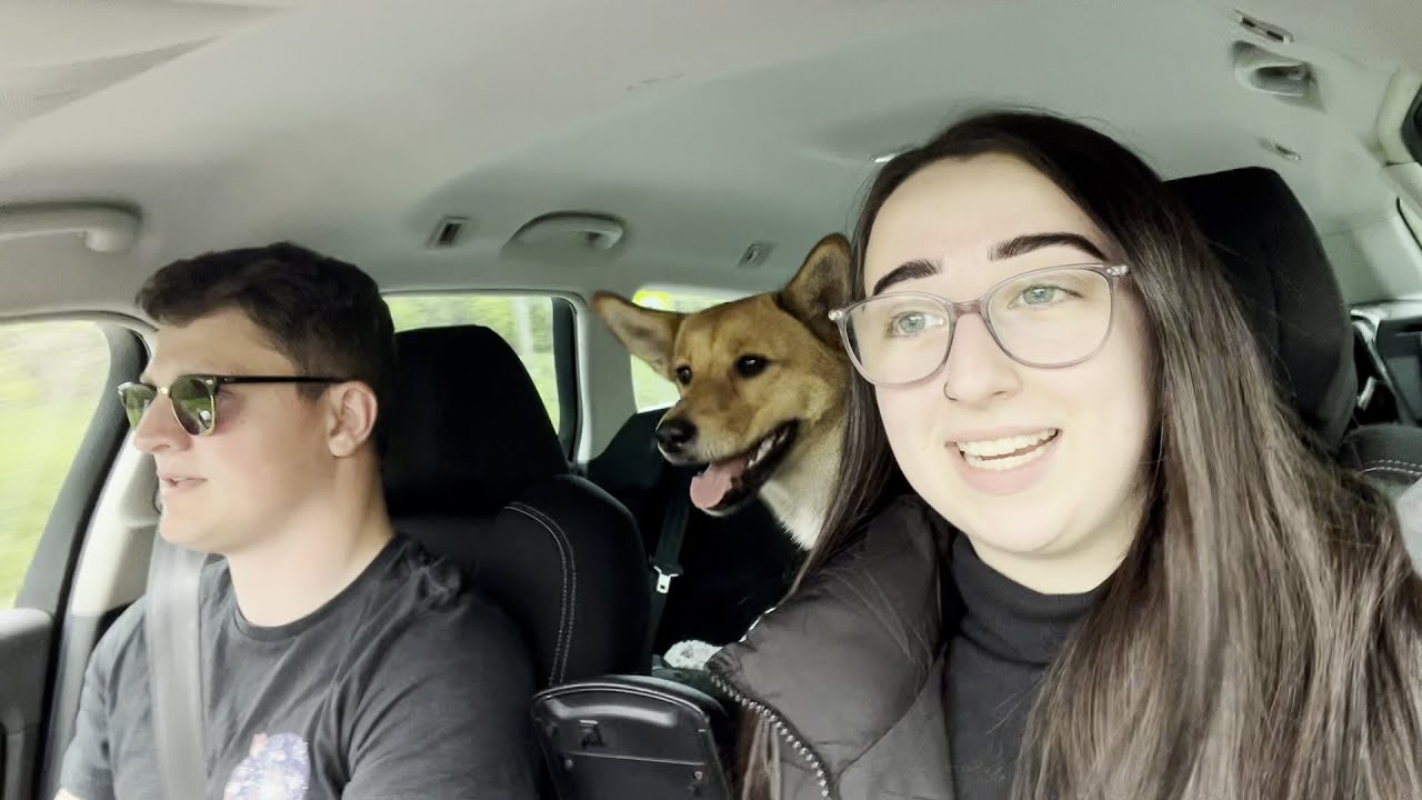 MILLY'S TRIP TO WALES!! 🏴󠁧󠁢󠁷󠁬󠁳󠁿 - YouTube