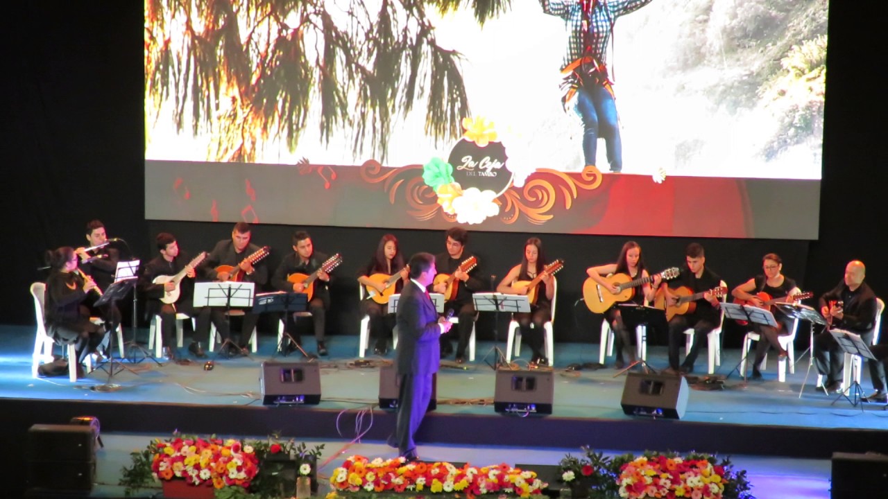 ESTUDIANTINA VIENTO Y MADERA. JOHN JAIRO TORRES DE LA PAVA. - YouTube