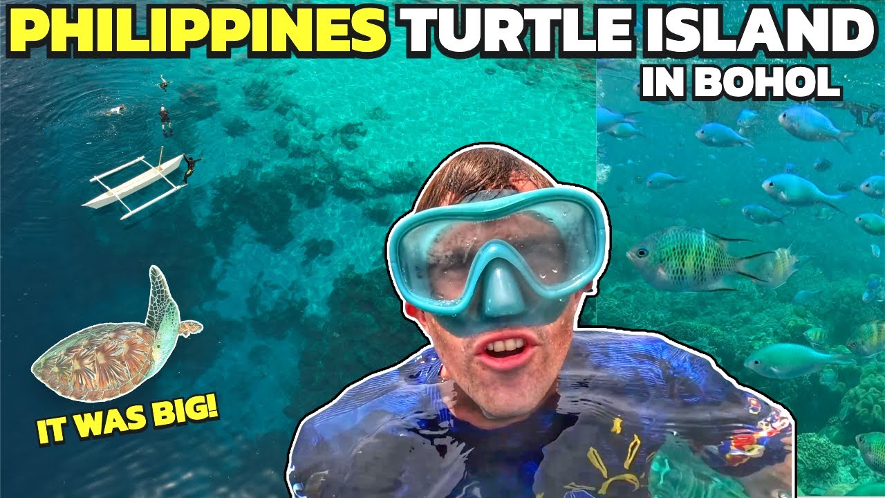 TURTLE ISLAND EXPERIENCE - Filipino Family Travel In Bohol (Philippines ...