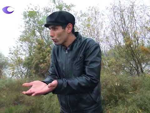 Qatil ata dörd qızını və arvadını necə öldürüb?