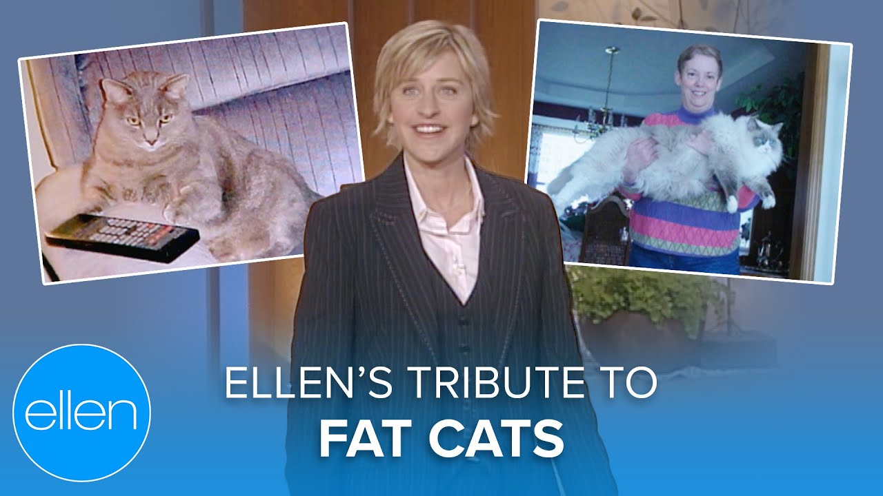 Ellen’s Tribute to Fat Cats - YouTube
