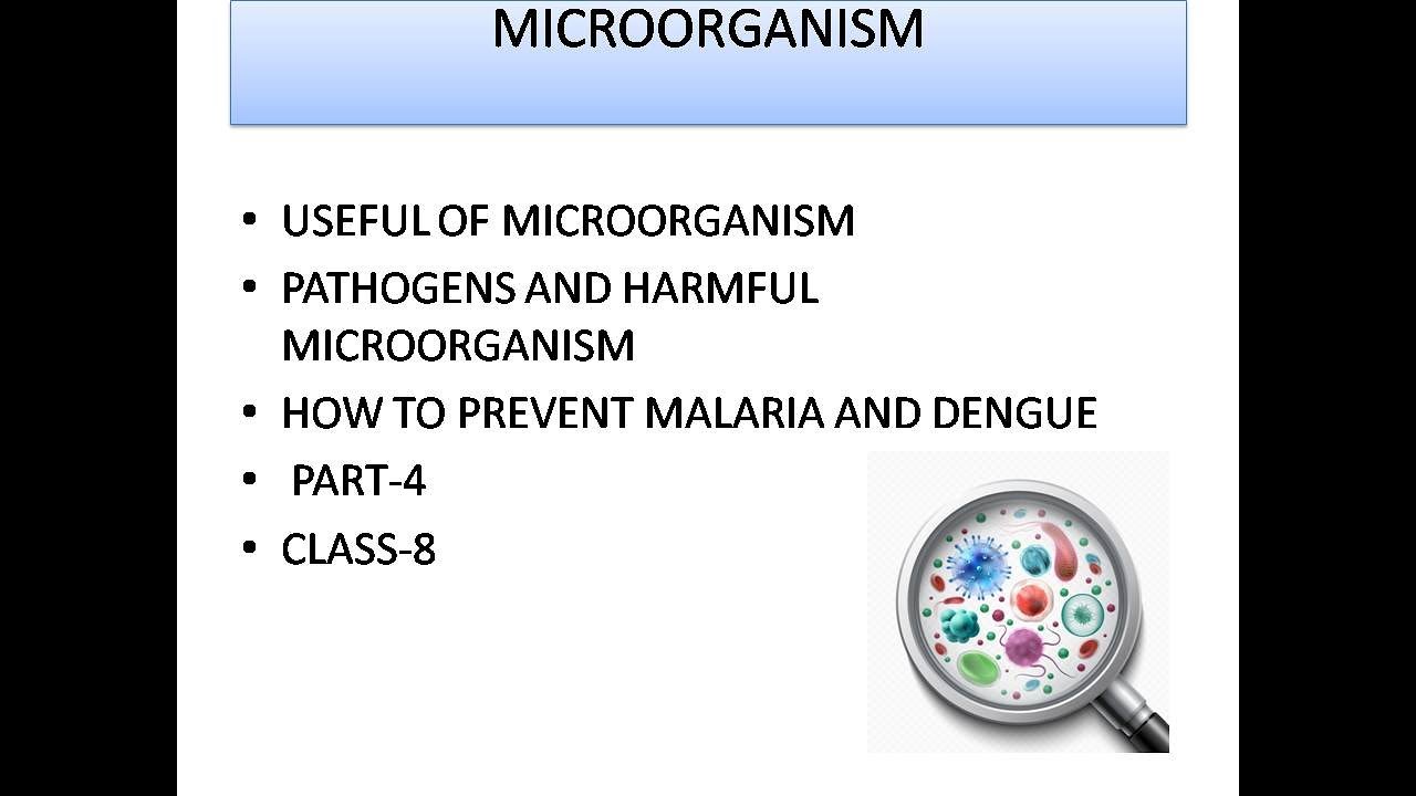 MICROORGANISM ( PART-4) CLASS-8 - YouTube