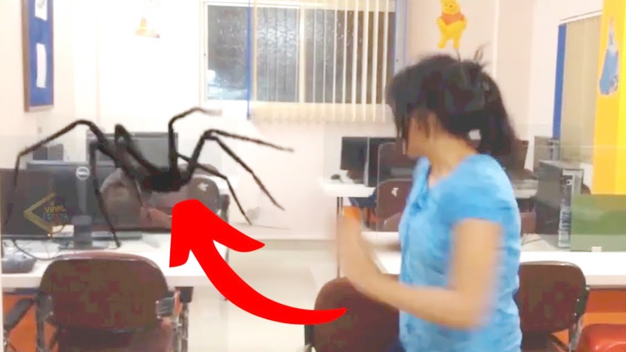 5 TIMES GIANT SPIDER CAUGHT ON CAMERA & SPOTTED IN REAL LIFE! - YouTube