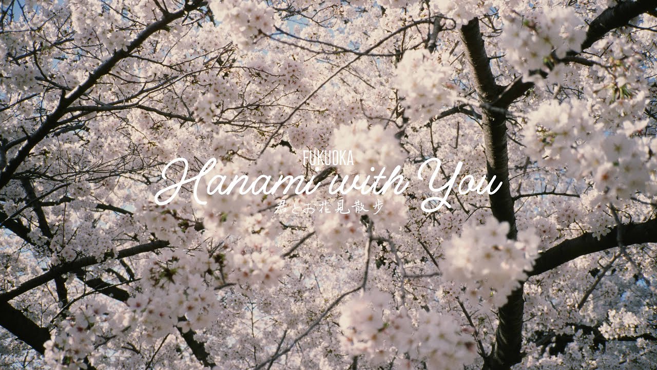 Hanami in Fukuoka Like a 90s Film - YouTube