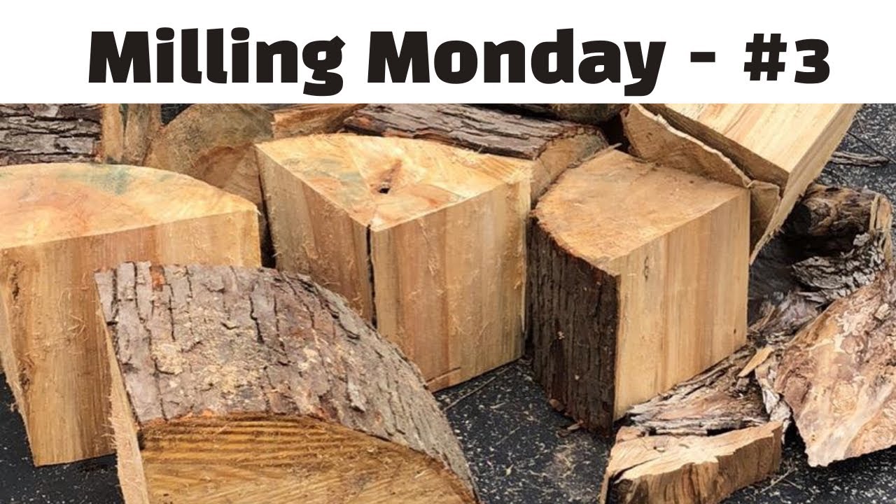 Milling Monday #3 | “What do you do about bugs? - YouTube
