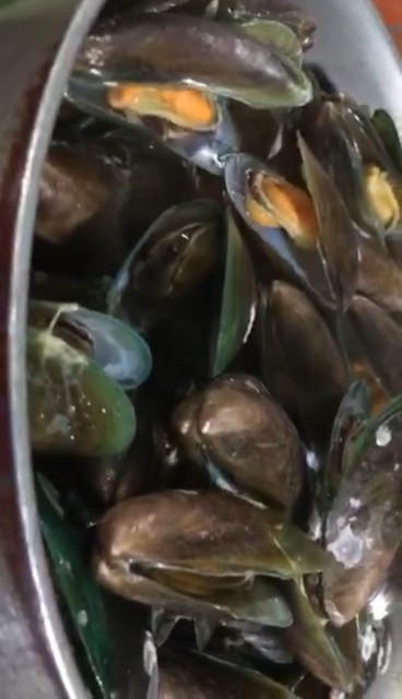 #tahong #mussel #shell - YouTube
