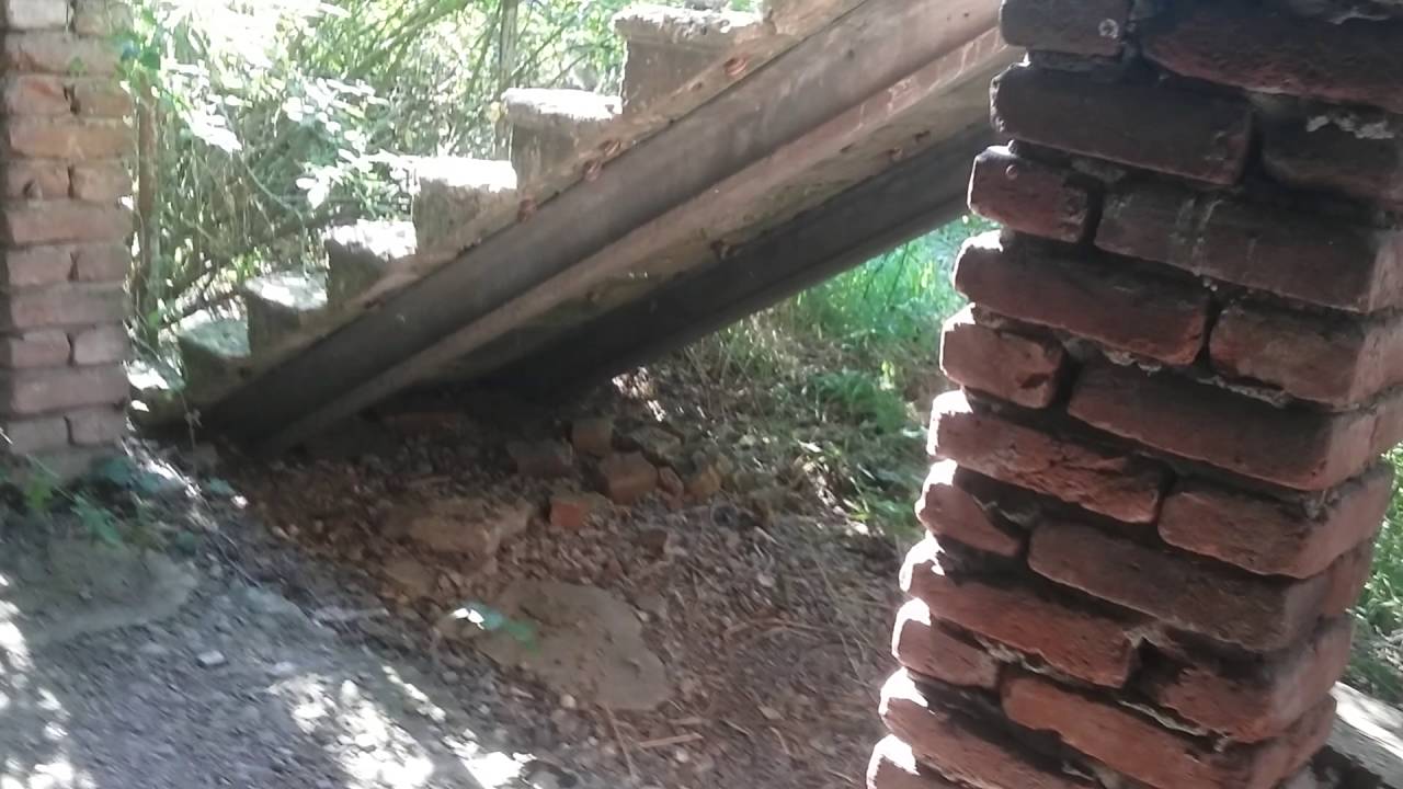 sashishi saxli - YouTube