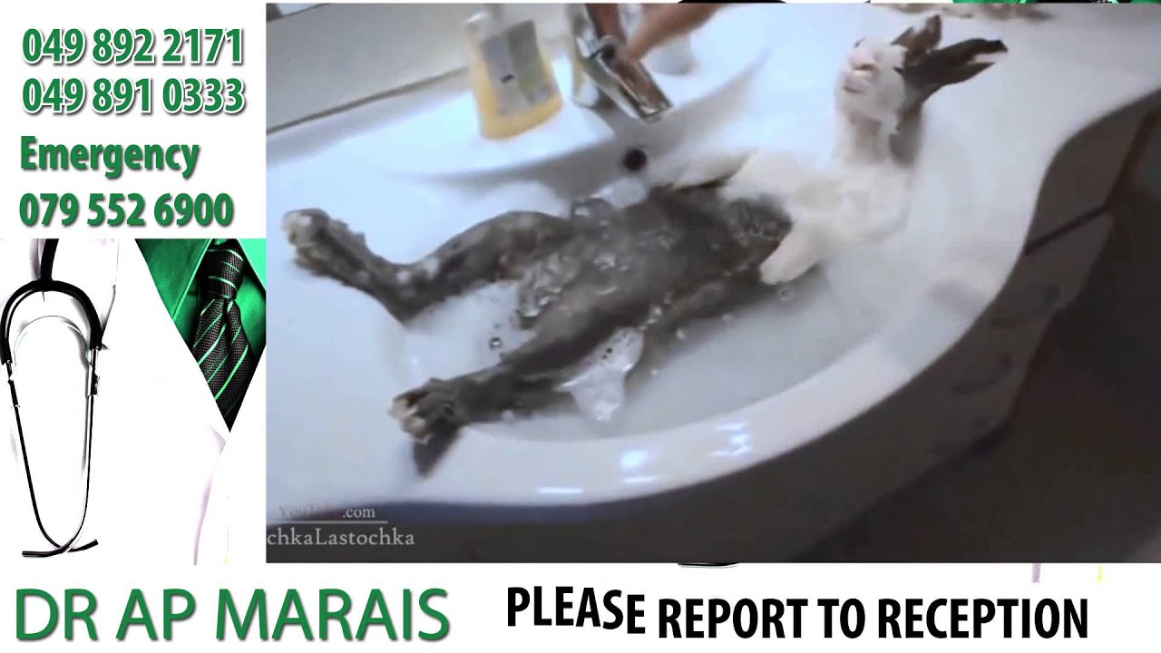 Dr Marais Funnies 4 - YouTube