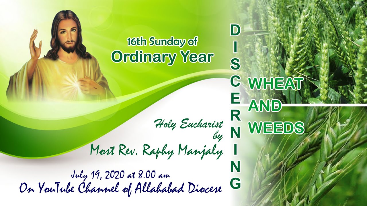 16th Sunday of Ordinary Year | Mass on July 19, 2020 at 8.00 am | Most ...