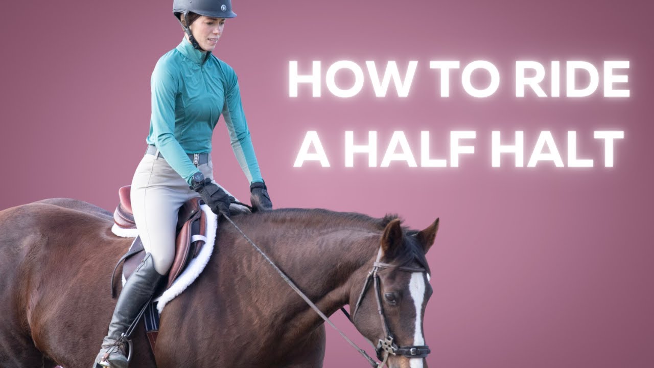 How to Ride a Half Halt - YouTube