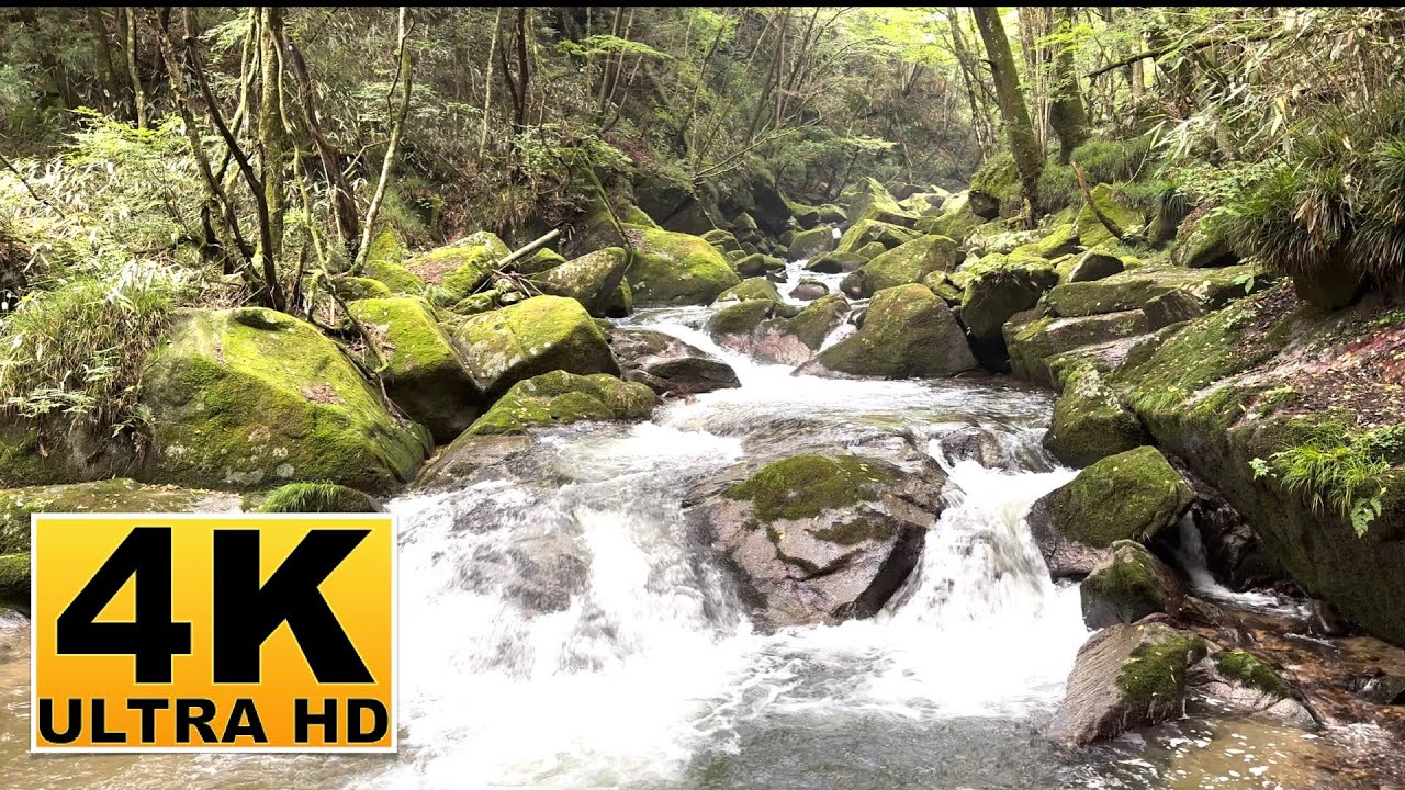 4K ULTRA HD Relaxing Nature Sound Mental and physical recovery, sound ...