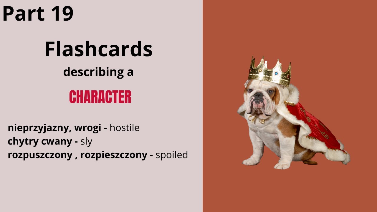 Learn Polish vocabulary with pictures character. Part 19 - YouTube