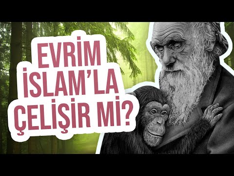 Evrim İslamla Çelişir Mi? | Evrim ve Deizm | Enis Doko