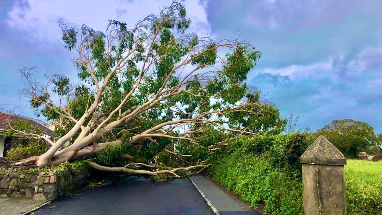 GUERNSEY | STORM CIARAN - The Morning After.. - YouTube