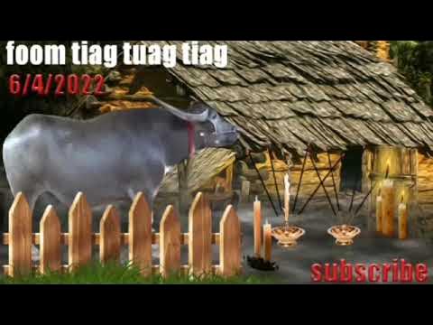 neeg phem lim hiam txoj kev npam - YouTube