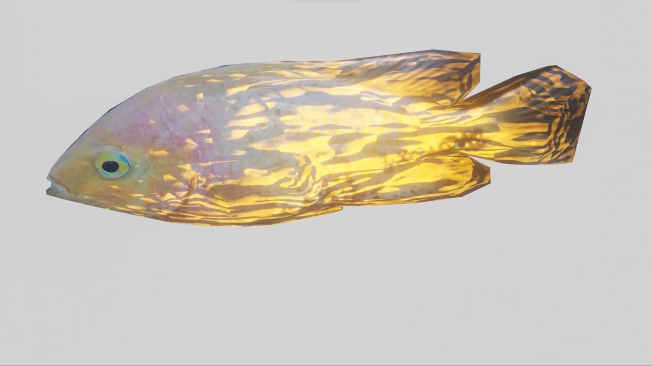 spinning fish 2 [GOLDEN EDITION] - YouTube