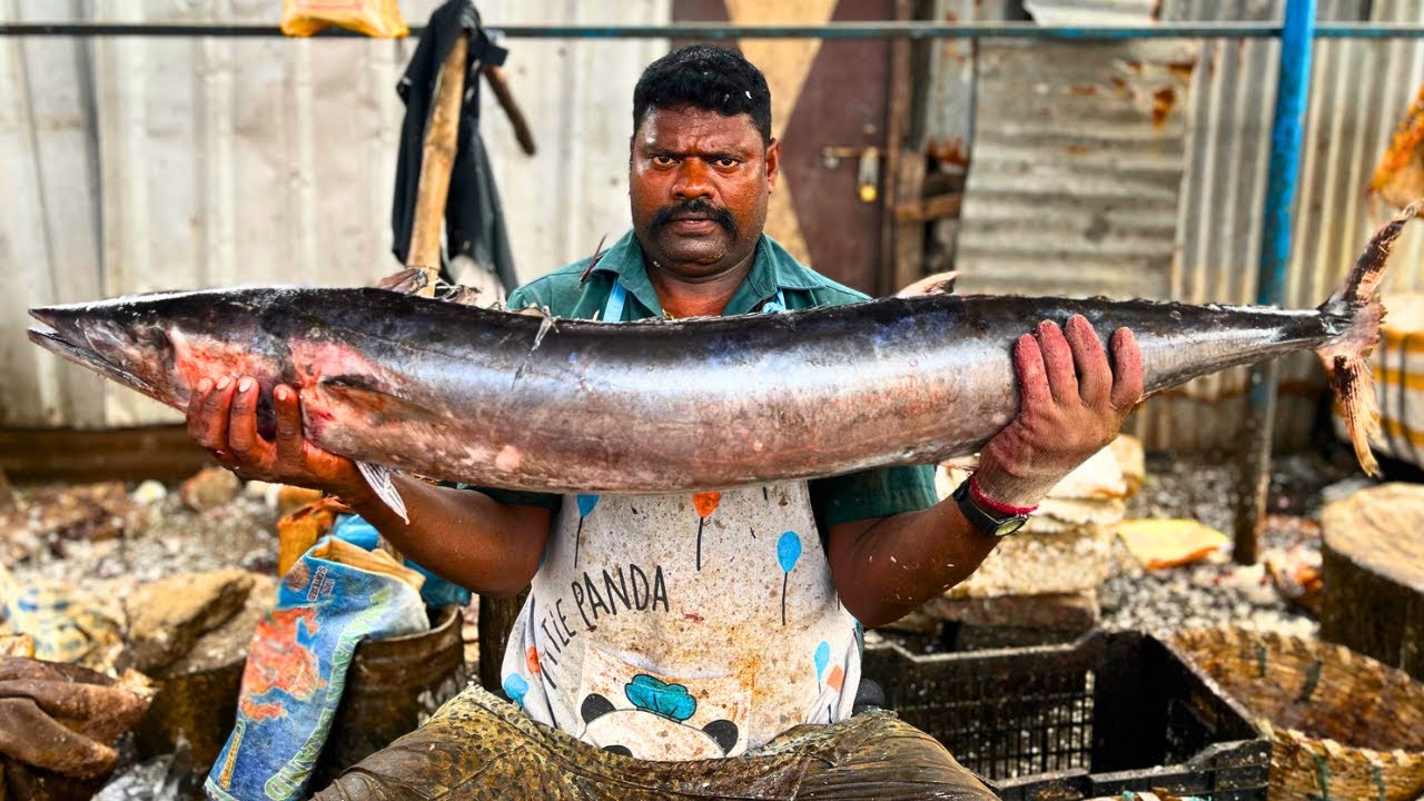10KG BIG ARAKOLA (WAHOO) FISH CUTTING BY SPEED SELVAM | HD VIDEO | IN ...