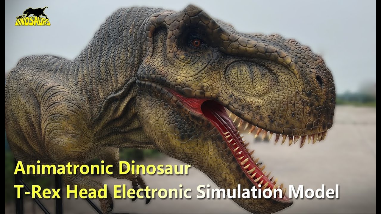 Super Ferocious T Rex Head Electronic Simulation Model | Animatronic ...