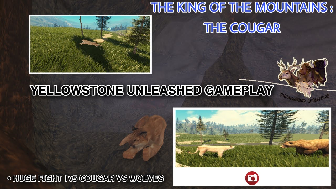 Being The Apex Predator In The Yellowstone National Park! | Roblox ...