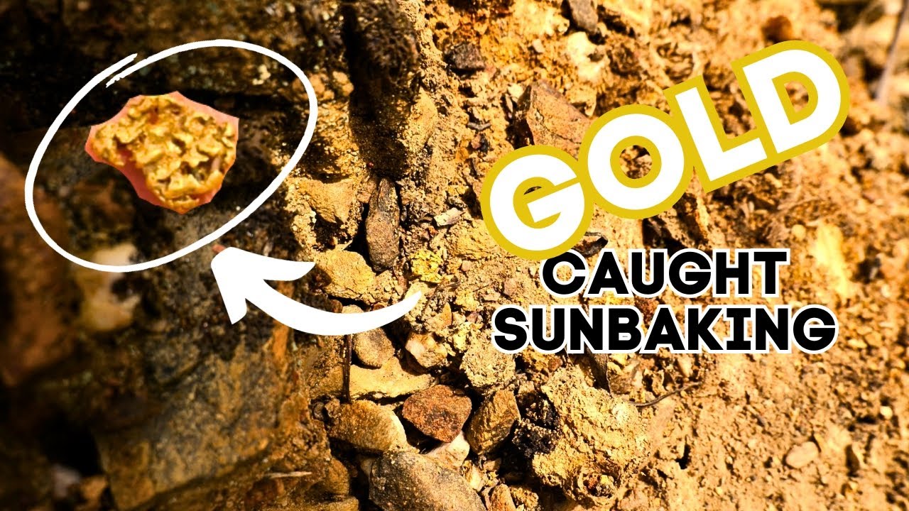 The Golden Gully - Round 2! - YouTube