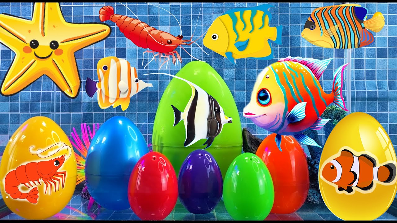 Colorful sea fish surprise, shrimp, clownfish, starfish, sea animals ...