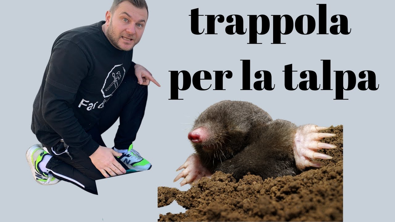 Come fare una trappola per le talpe FAI DA TE - YouTube