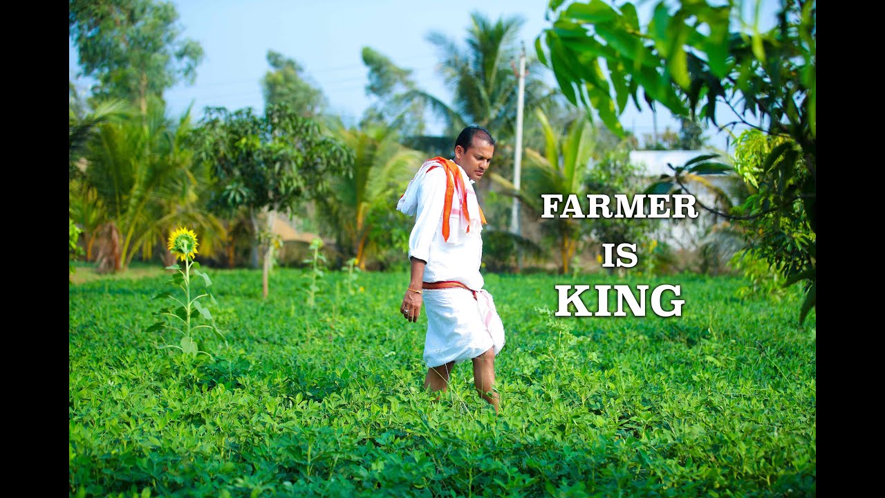 FARMER IS KING YouTube farmer-is-king-youtube