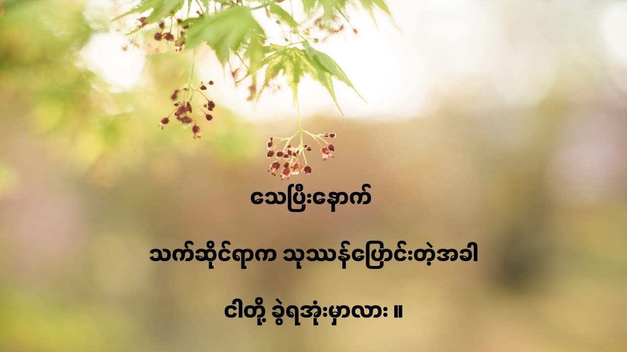 ဟန်နီ ငါတို့ကသူစိမ်းတွေ အောင်မှူးဝေ Youtube
