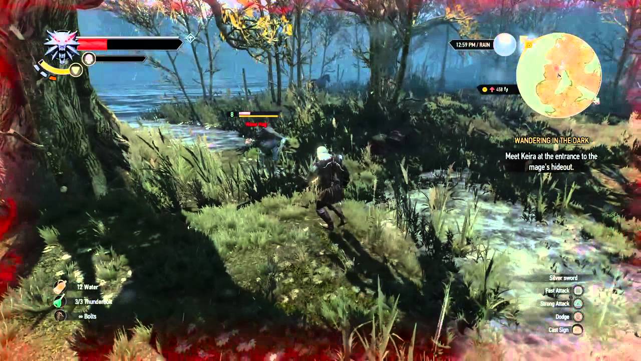 The Witcher 3: Wild Hunt Assassin's Gauntlets Location - YouTube