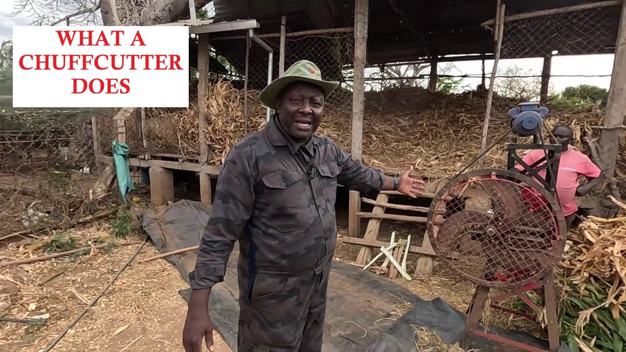 WHAT A CHUFF CUTTER CAN DO!! AMAZING !!!//FEEDS PREPARATION - YouTube