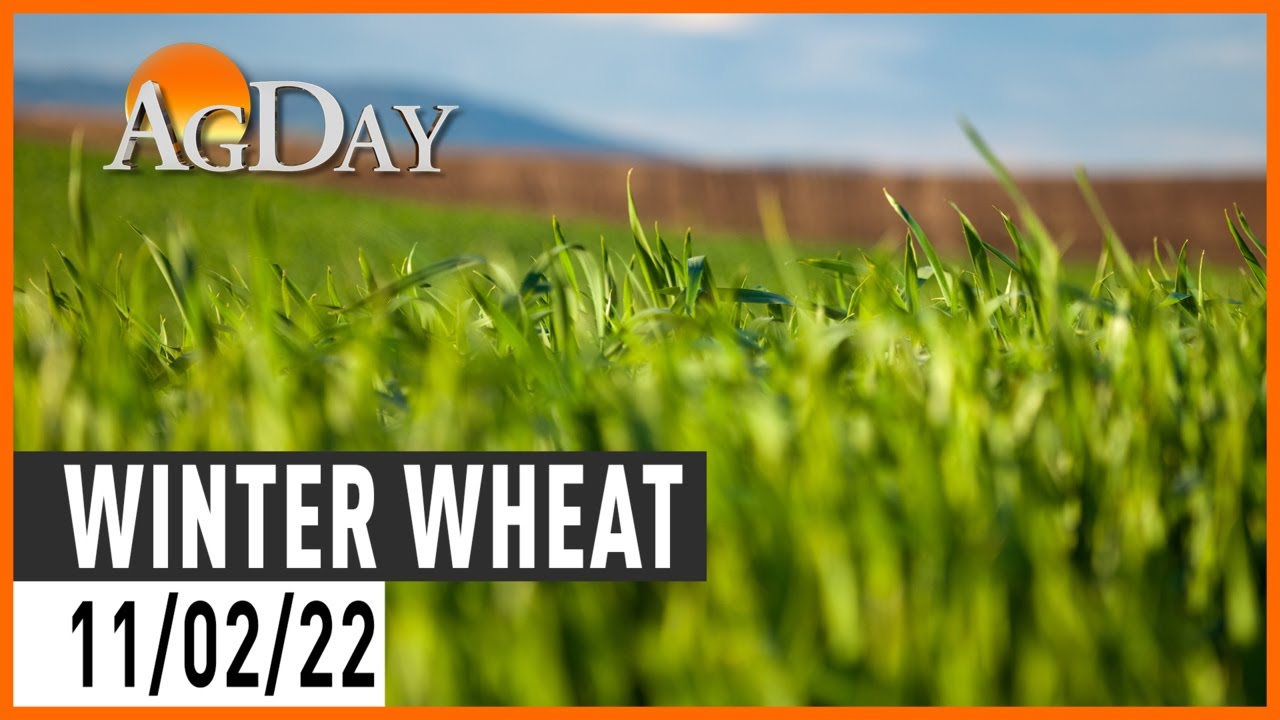 AgDay 11/02/22 - YouTube