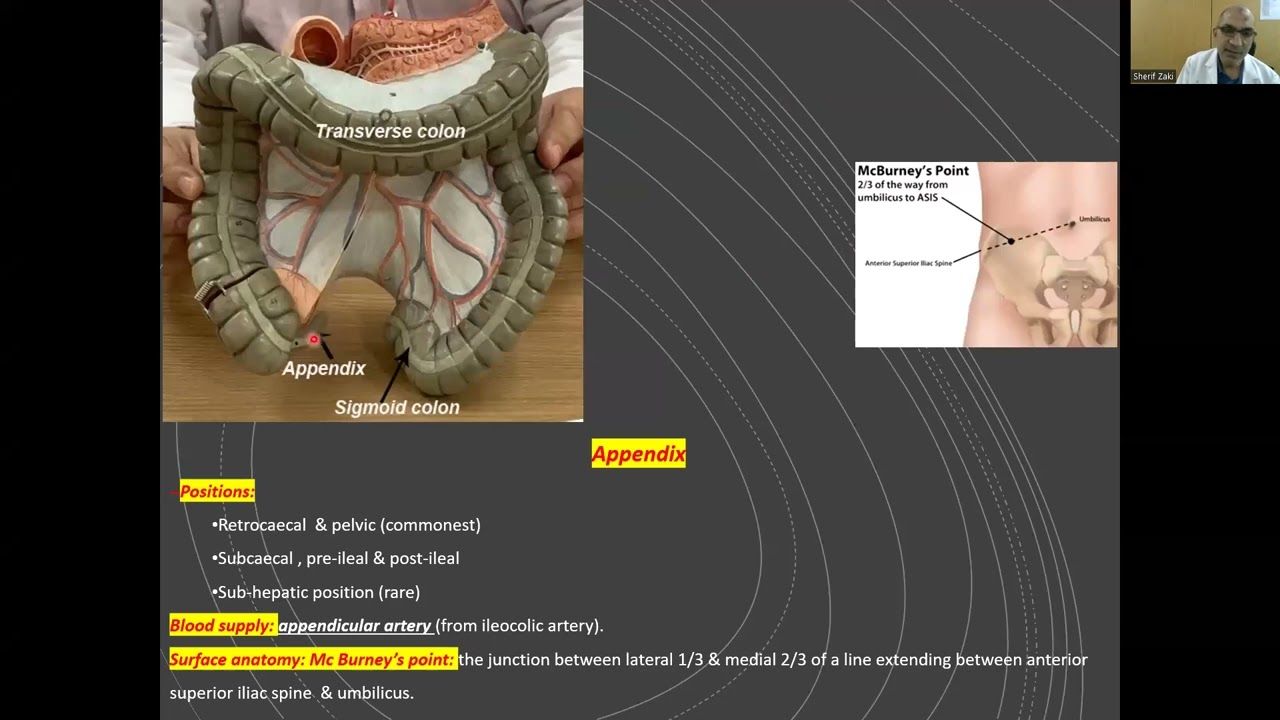 OSPE digestive (Nutrition & GIT module) - YouTube