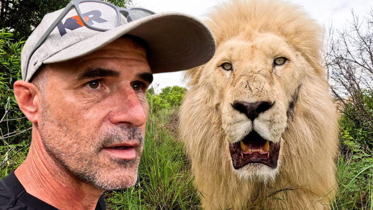 Best Wildlife Videos to Watch Right Now