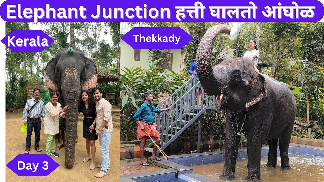 Thekkady | Elephant Junction | Kerala | हत्ती घालतो आंघोळ | Marathi ...